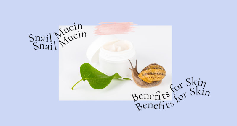 What Are the Benefits of Snail Mucin on Your Skin?