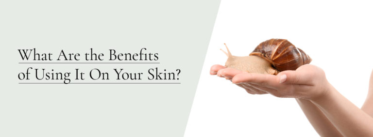 What Are the Benefits of Snail Mucin on Your Skin?