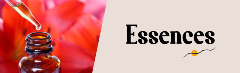 Essence vs Serum vs Ampoule - What’s Best for My Skin?