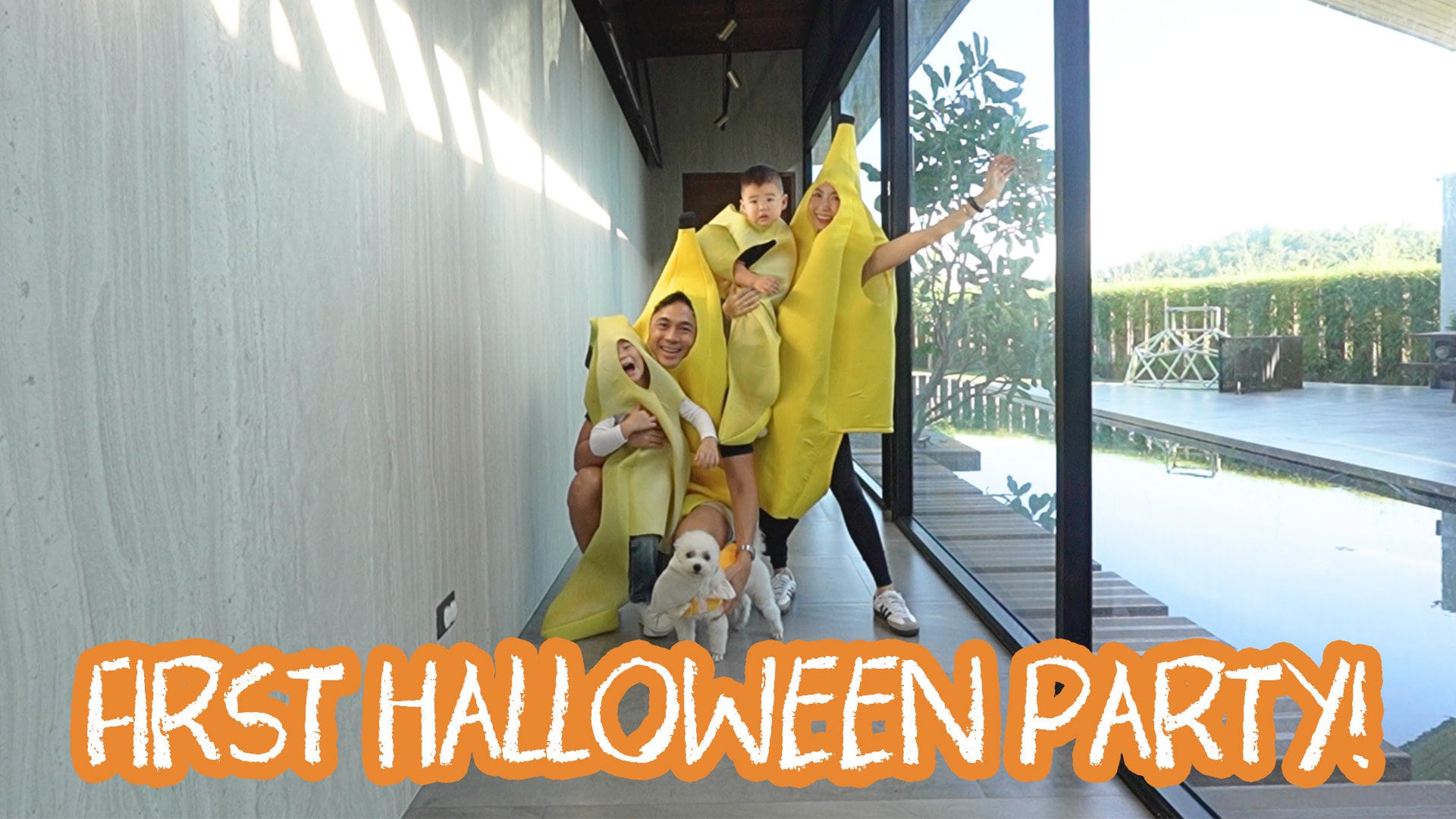 First Trick or Treat, Tobi’s silly personality, Haircut day ...